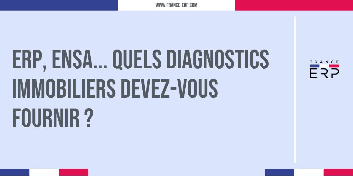 ERP, ENSA... Quels diagnostics immobiliers devez-vous fournir ...